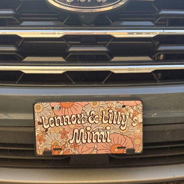 Goth License Metal License Plate Frame - Halloween Car Tag Frame - It's ...