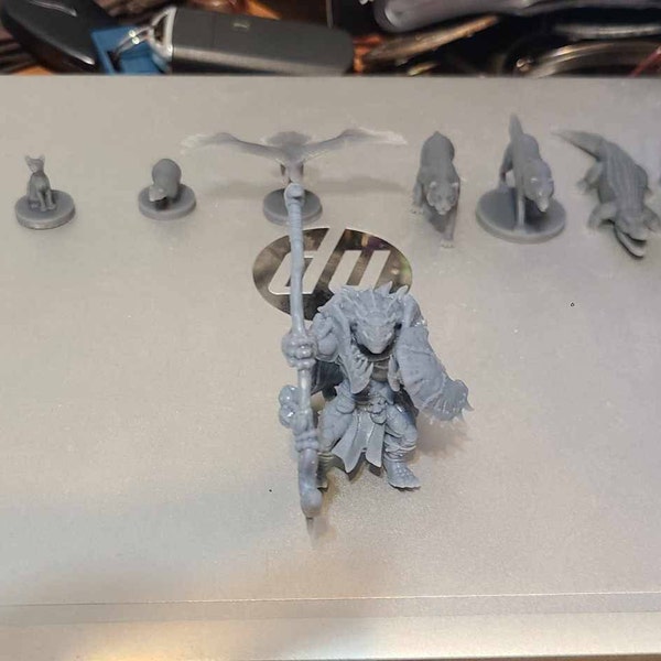 Beast Druid Dnd Minis (set of 10) Druid Wild Shape Dnd Minis, Ranger ...