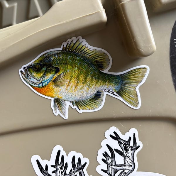 Largemouth Bass Vinyl Decal - Etsy