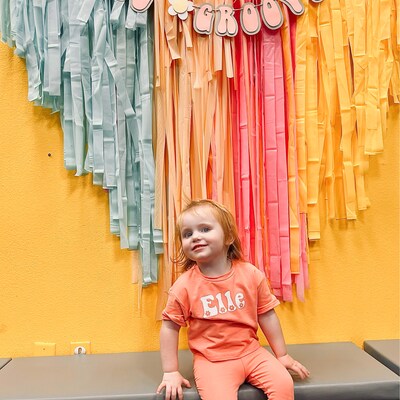 9 Piece Tissue Paper Tassel Fringe Backdrop wall - Etsy