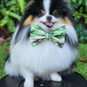 Handmade Duck Collar. Coco Collar. Green and Brown Jacquard Ribbon. for ...