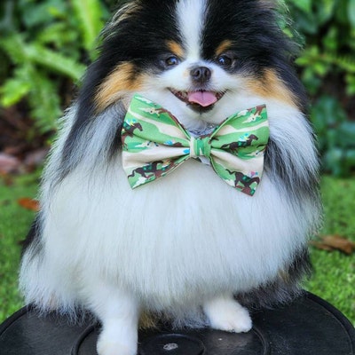 Handmade Duck Collar. Coco Collar. Green and Brown Jacquard Ribbon. for ...