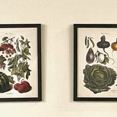 French Vegetable Print Set, Wall Art, Giclee, Vintage Vegetable Art ...