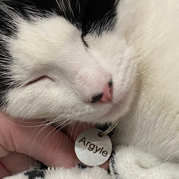 Genuine ZIPPO Brass Lighter, Satin or Polished, Beautifully Engraved & Personalised, Supplied in ...