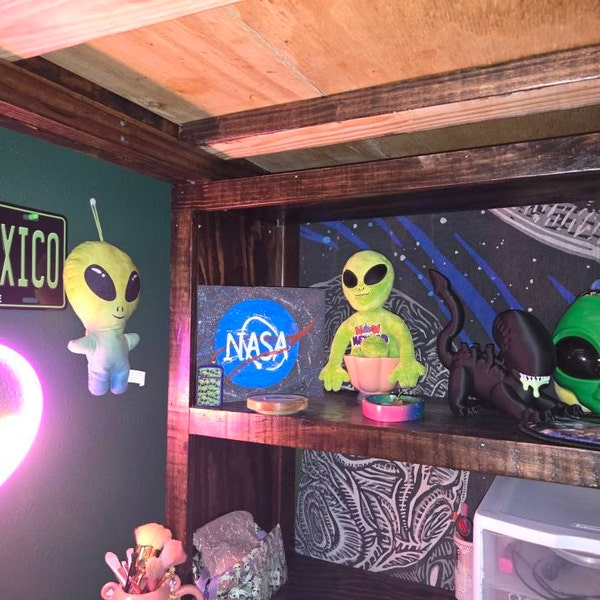 3D Printed Chibi Xenomorph Chestburster Alien: Spooky Bookshelf Decor ...