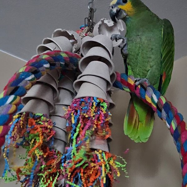Wiggle Waggles by Cheep Thrills Bird Toys - Etsy
