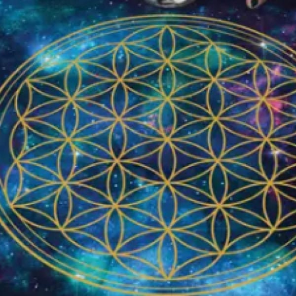 Palm Reading, Same Day Psychic & Hand Reading, Detailed Palm Photo ...