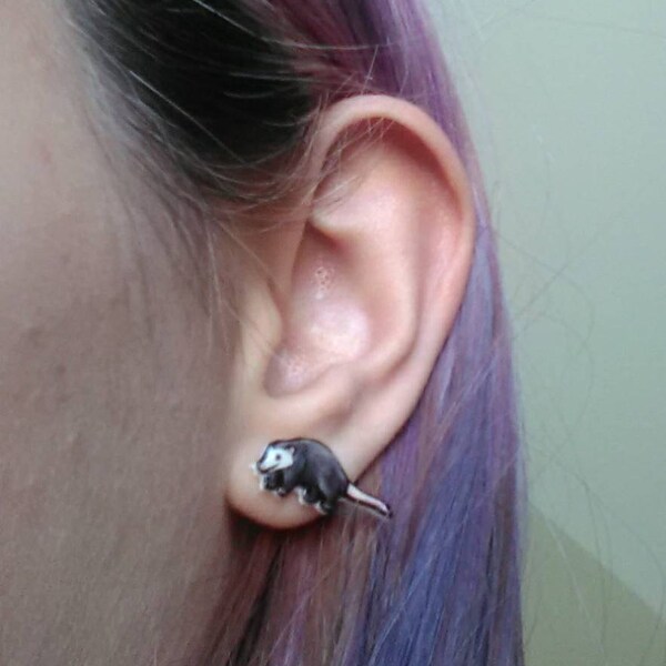 Opossum Earring Studs: Stainless Steel Posts for Animal Lovers, Vet ...