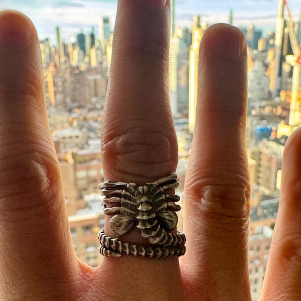 Toothless Ring Sterling Silver, How to Train Your Dragon Ring, Unisex ...