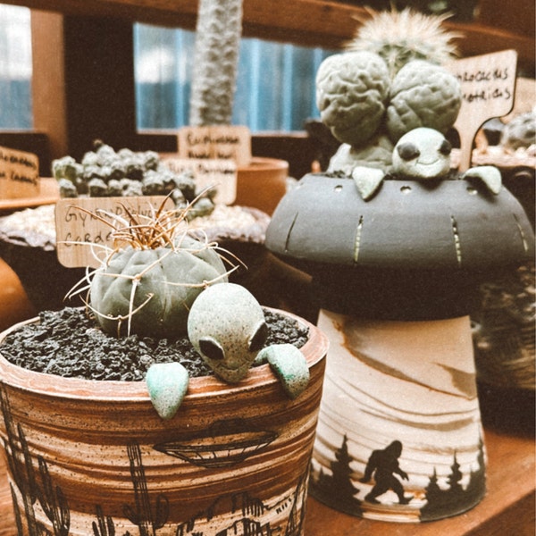 Alien Plant Buddy, Ceramic Alien, Garden Art, Plant Stake, Mini Green ...