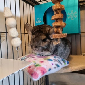 Au Naturel Chinchilla / Rat / Degu / Rabbit / Guinea Pig / | Etsy