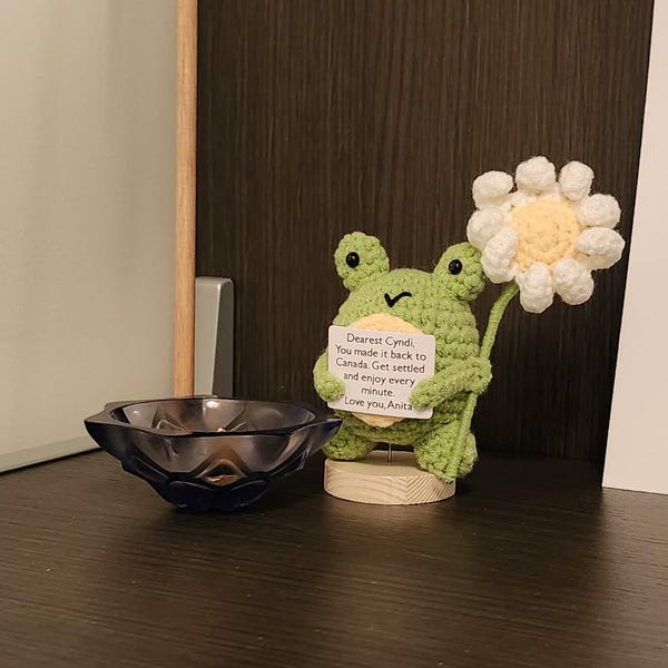 Handmade Crochet Positive Frog With Mushroom and Daisies-crochet ...