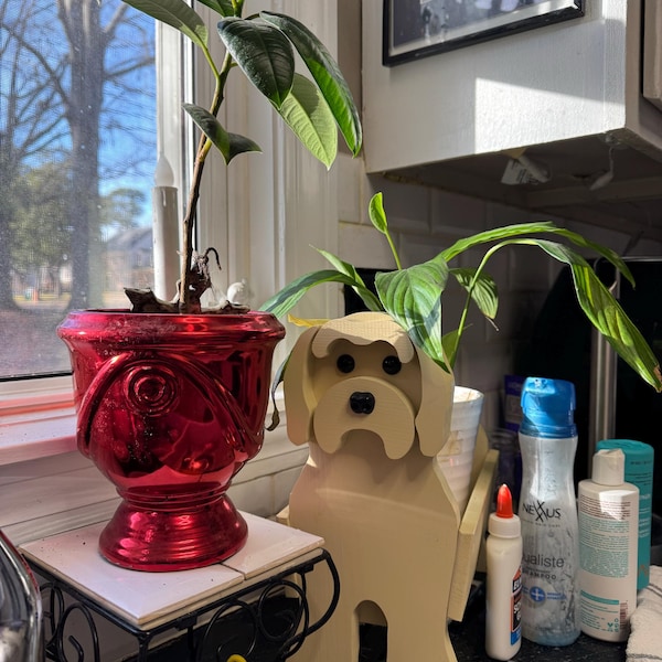Boxer Pet Planter - Dog Planter - Birthday Gift - Etsy