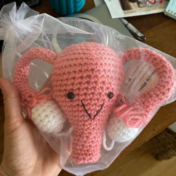Crochet Uterus Plush With Ovaries, Crochet Midwife or Doctor Gift ...