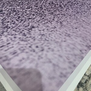 Henri Matisse, Open Window, Collioure, 1905, Modern Art ,contemporary ...