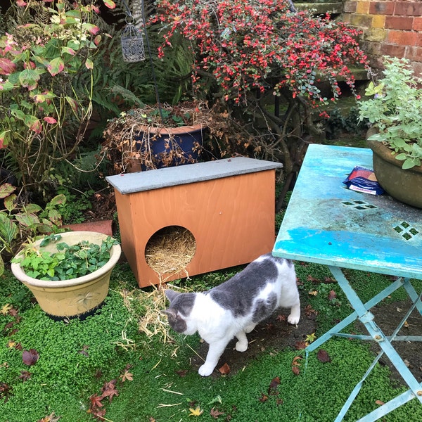 Ford Transit Custom Van Racking Set 2013 - Etsy