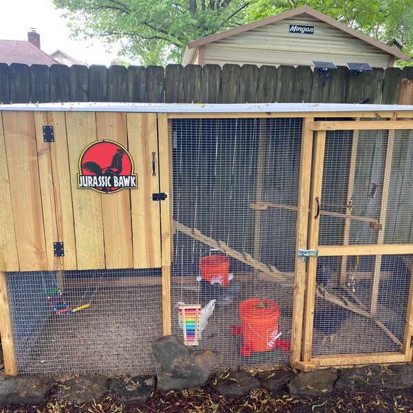 Chicken Coop Sign Jurassic Bawk T-rex Dinosaur Outdoor Wood Chicken ...