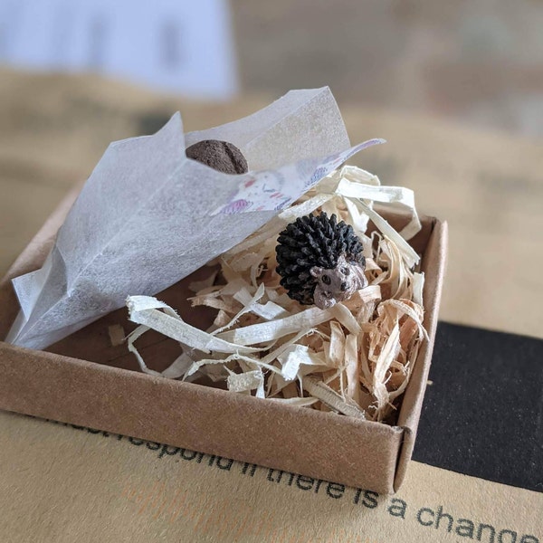 Hedgehog Gift, Pocket Hug, Hug in a Box, Matchbox Gift, Letterbox Gift ...