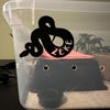 Customizable Name Ball Python Snake Vinyl Decal READ DESCRIPTION - Etsy