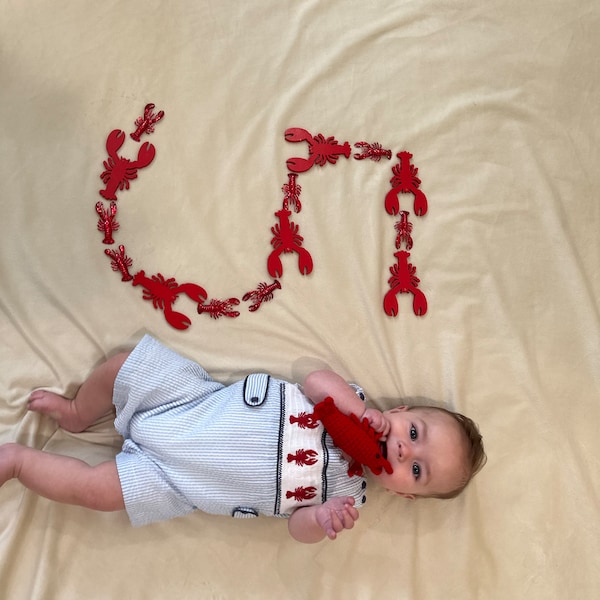 Crawfish Toy; Lobster Crochet; Crawfish Plushies; Crawdad Toy; Stuffed ...
