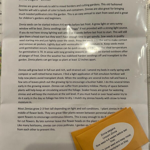 Heirloom Pepper Seeds, Sweet Banana Peppers, Golden Treasure Pepper ...