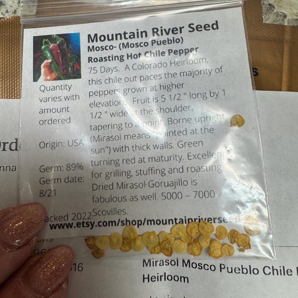 Mirasol Mosco Pueblo Chile Pepper Seeds: Rare Colorado Heirloom - Etsy