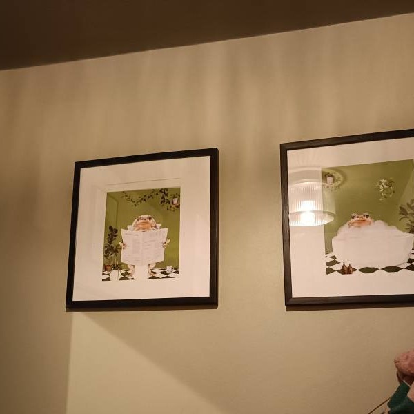 Set of Two Toad Bathroom Prints. Toad in the Bath, Frog on the Toilet ...