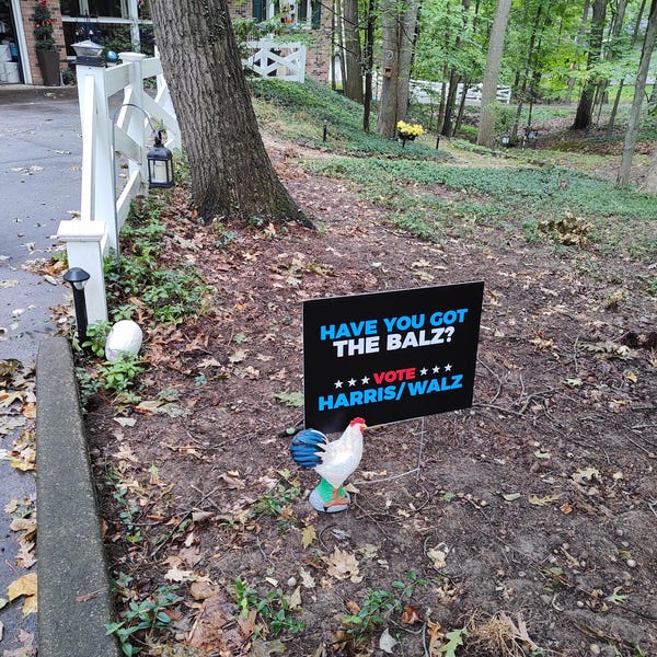 Democrat Never Forget January 6 Yard Sign - Etsy