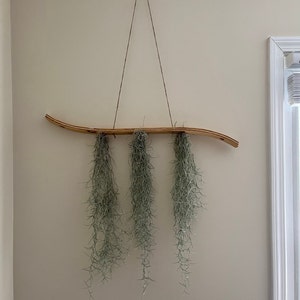 Wall Mount Diamond Planter With Saucer Geometric Wall - Etsy