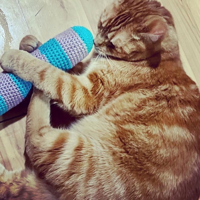 Crochet Pattern Catnip Kick Stick Cat Toy - Etsy