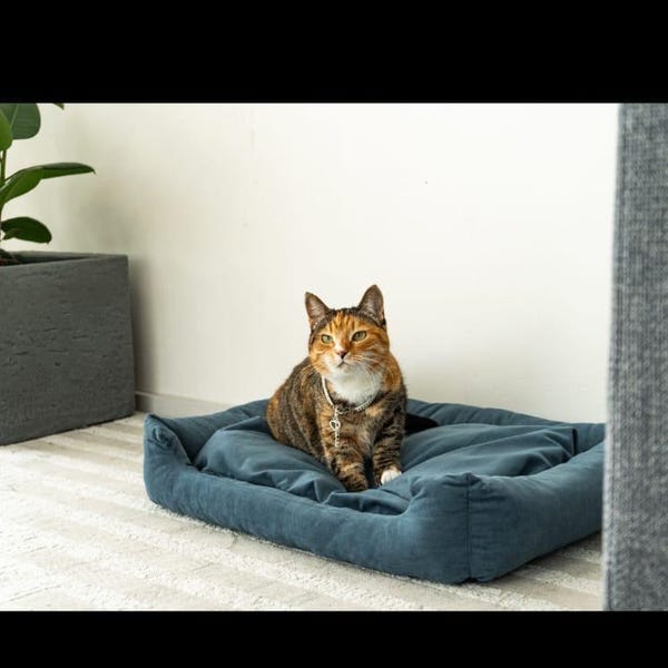 Minimalist Cat Scratching Post, Modern Cat Play Furniture, Sustainable ...