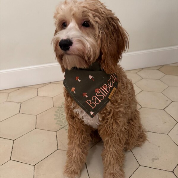 Mushrooms & Moss Dog Bandana Olive Rust Ivory Brown Woodland Cotton ...