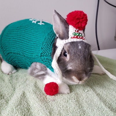Christmas Rabbit Sweater, Bunny Outfit, Pet Clothing, Bunny Clothes ...