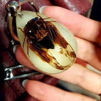Resin Real Bugs, Beetles, Scorpion Spider Keychain Grows in the Dark ...
