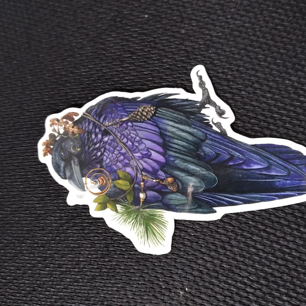 Vinyl Bird Stickers - 7 Designs to Choose From - Hawk Falcon Owl Raven ...