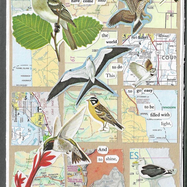 Old Hollywood Theme Library Catalog Cards | 6 Vintage Index Cards From ...