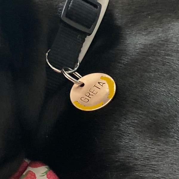 Custom Dog Tag / Custom Pet ID Tag - Lucy - in 1.25'' Domed Bronze ...