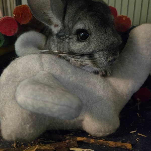 Mini-chinnie Buddie for Chinchillas, Pocket Pets and Others. - Etsy