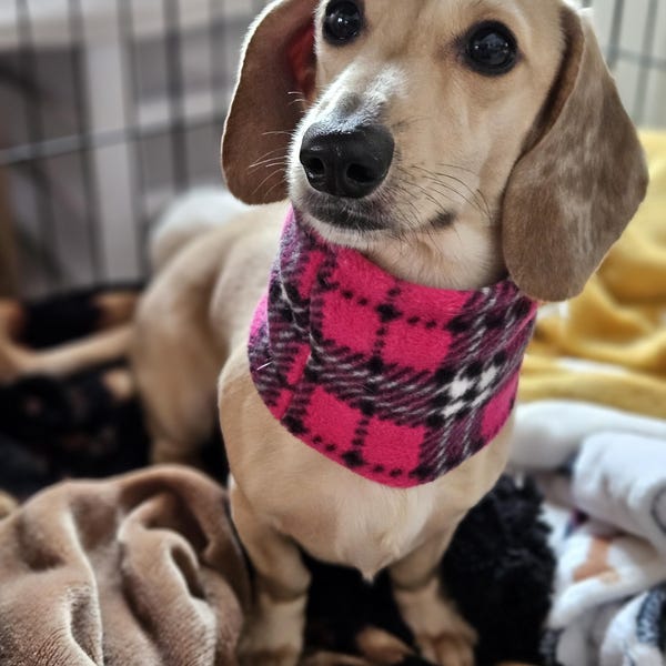 Camo Polar Fleece Dog Snood | Pet Neck Warmer | Pet Scarf | Dog Snood ...