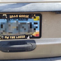Silly Goose on the Loose White License Plate Frame - Etsy Canada