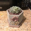 City in the Hands, Concrete Home Decor, Moss Planter, Metropolis ...
