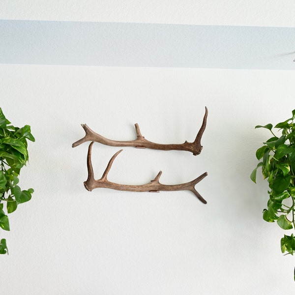 No Drill Shed Antler Mount Hanger Deer- Antlers NOT Included - Etsy