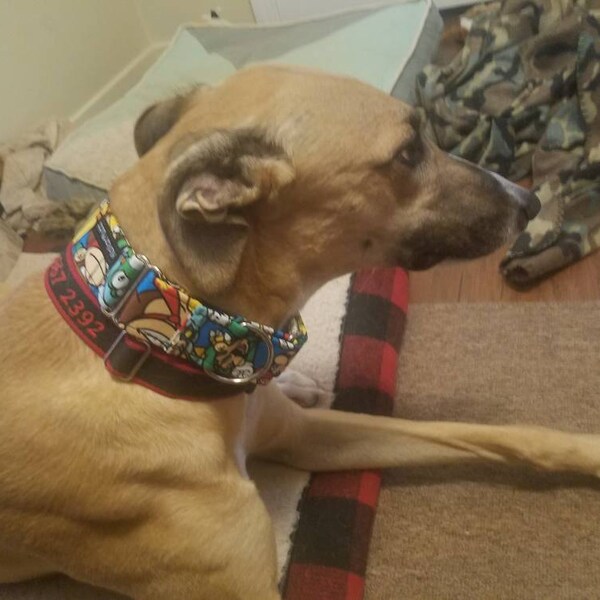 Custom Dog Collar - Design Your Own - Iconic - Etsy