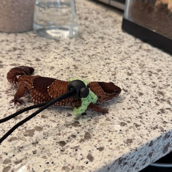Leopard Gecko Small Lizard Harness - Etsy