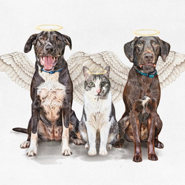 Custom Memorial Pet Drawing, Pet Portrait From Photo, Painting ...
