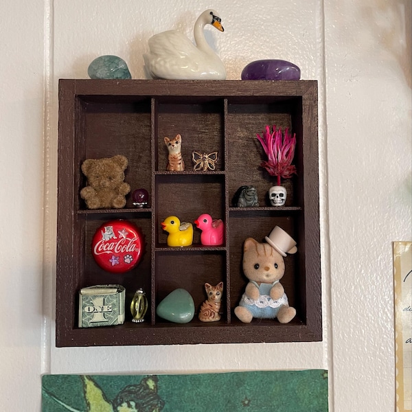 Wooden Curiosity Cabinet Printer Tray Letterbox Display, Rock Display ...
