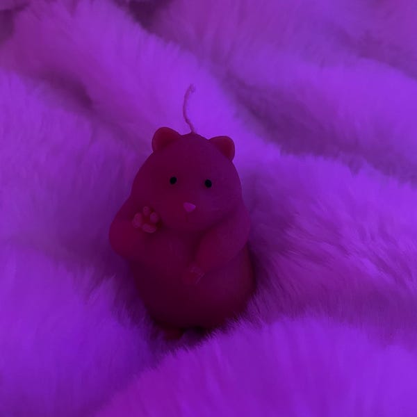 Smiley Worm Candle, Caterpillar Candle, Worm Decor, Cottagecore Decor ...