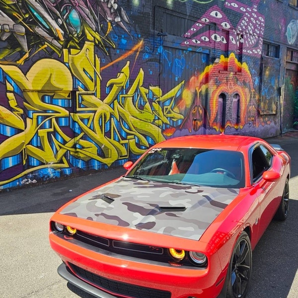 Ecoboost Ecobeast Decals for Ford Vehicles - Etsy