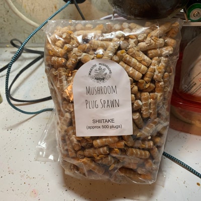 Shiitake Mushroom Plug Spawn 100x FREE USA Shipping - Etsy