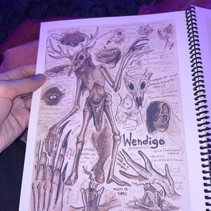 Fireco Monster, a Cryptid Centipede: Insect Bestiary Art Print - Etsy